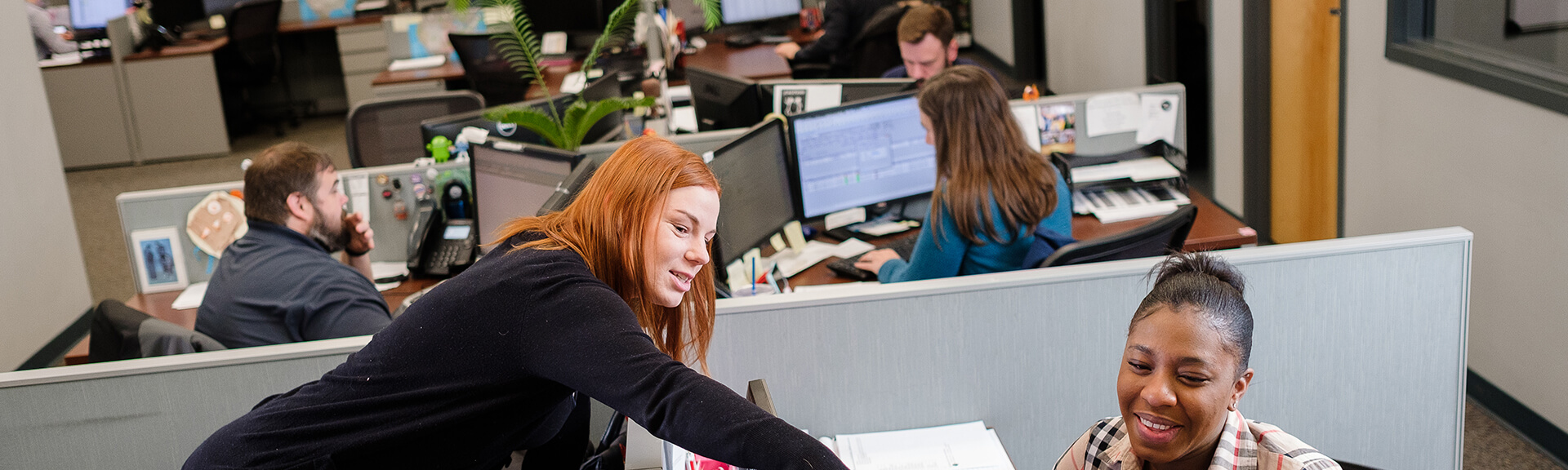 Carrier Partner - NAPA Transportation